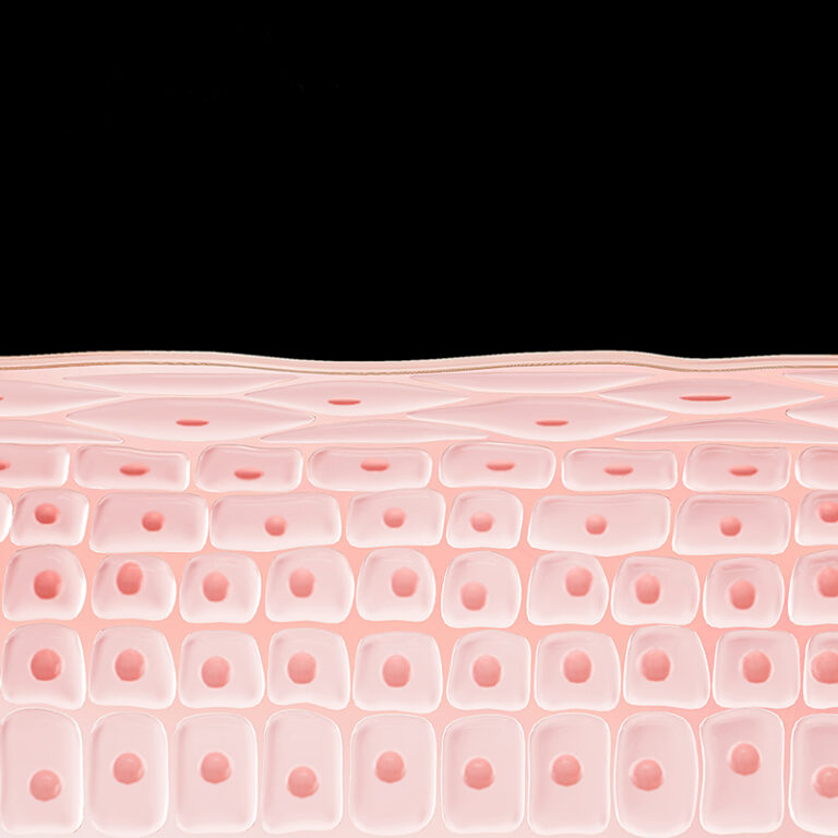 Brinter | 3D Bioprinted Tissue Platform